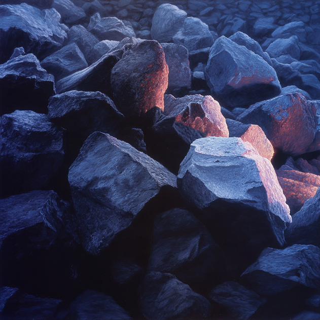 Petroleum Coke – High-Quality Petcoke Solutions by PRM Elements